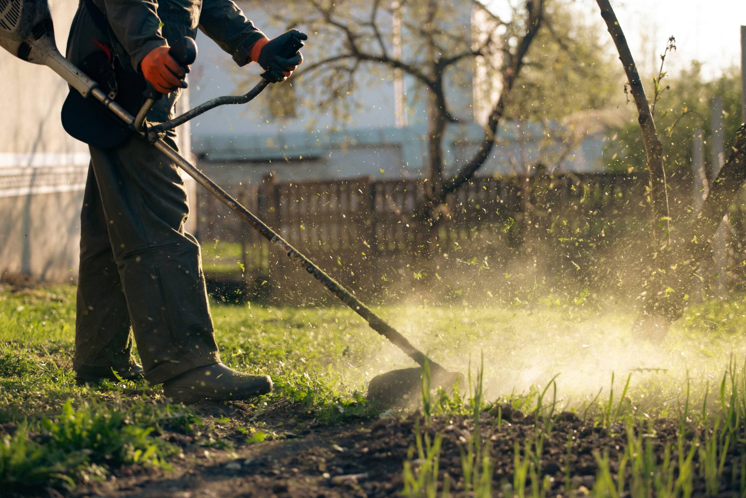 Shrub Trimming Services | Lawn Fertilizer | Leaf Removal