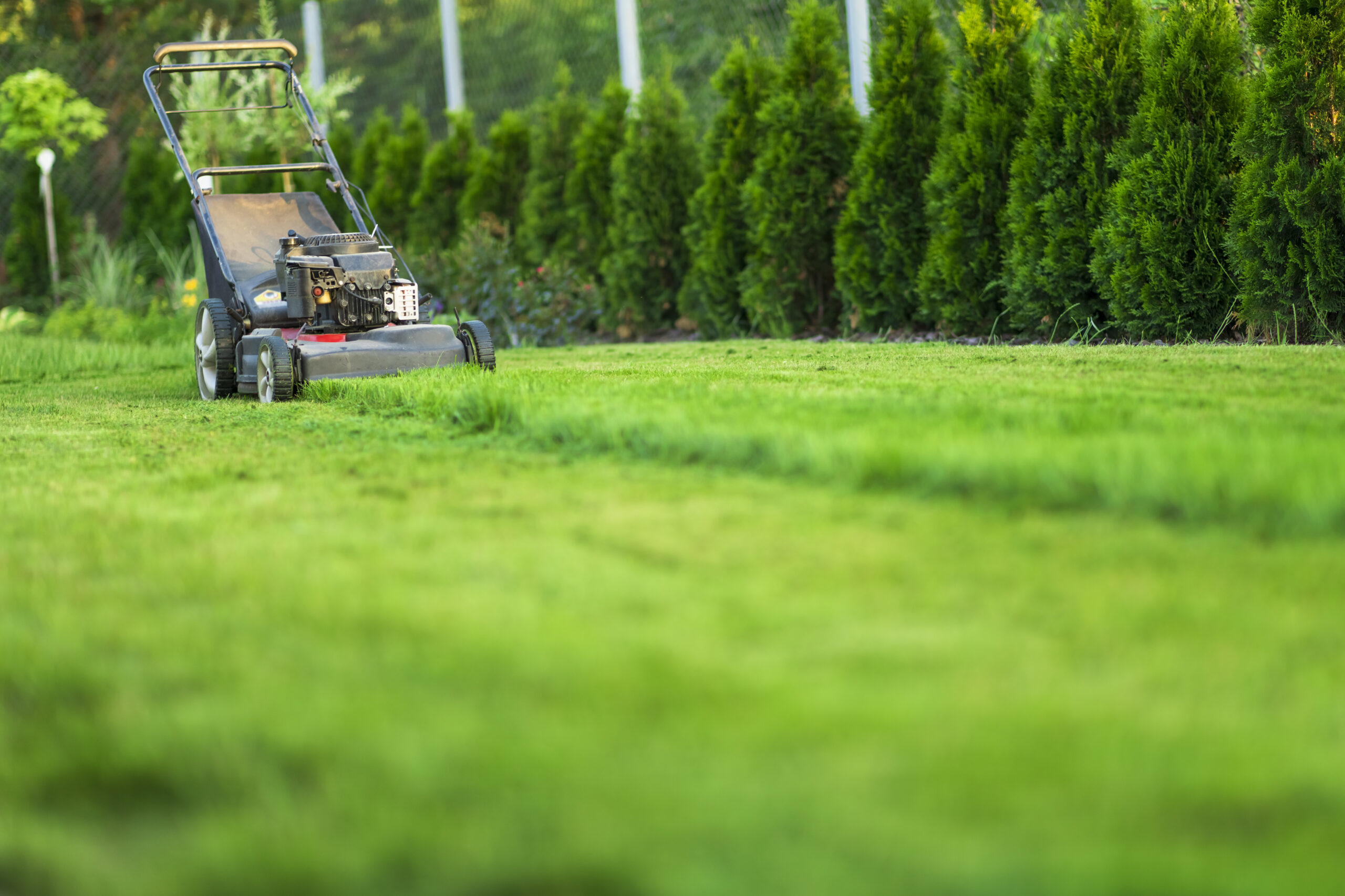 Seasonal Flower Planting | Flower Bed Weeding Service | Full Service ...