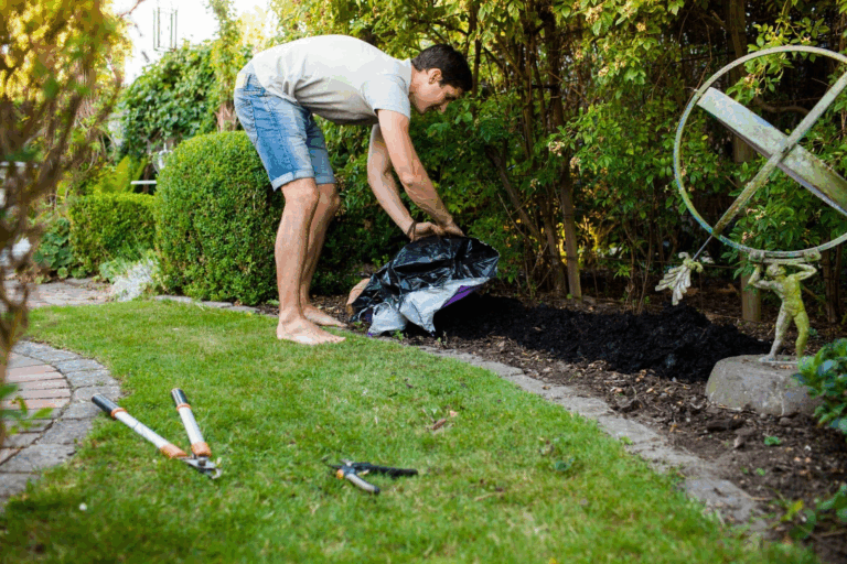 Yard Cleanup And Leaf Removal | Leaf Cleaning Service | MW Lawn And ...