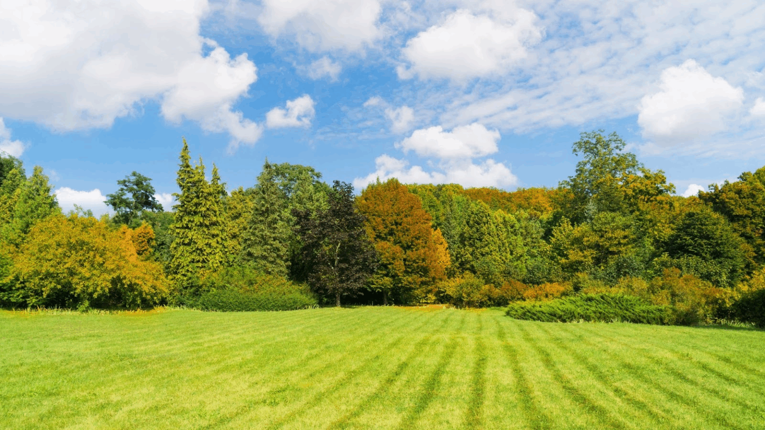 Lawn Aeration Cost | Fall Aeration and Seeding | MW Lawn and Landscape